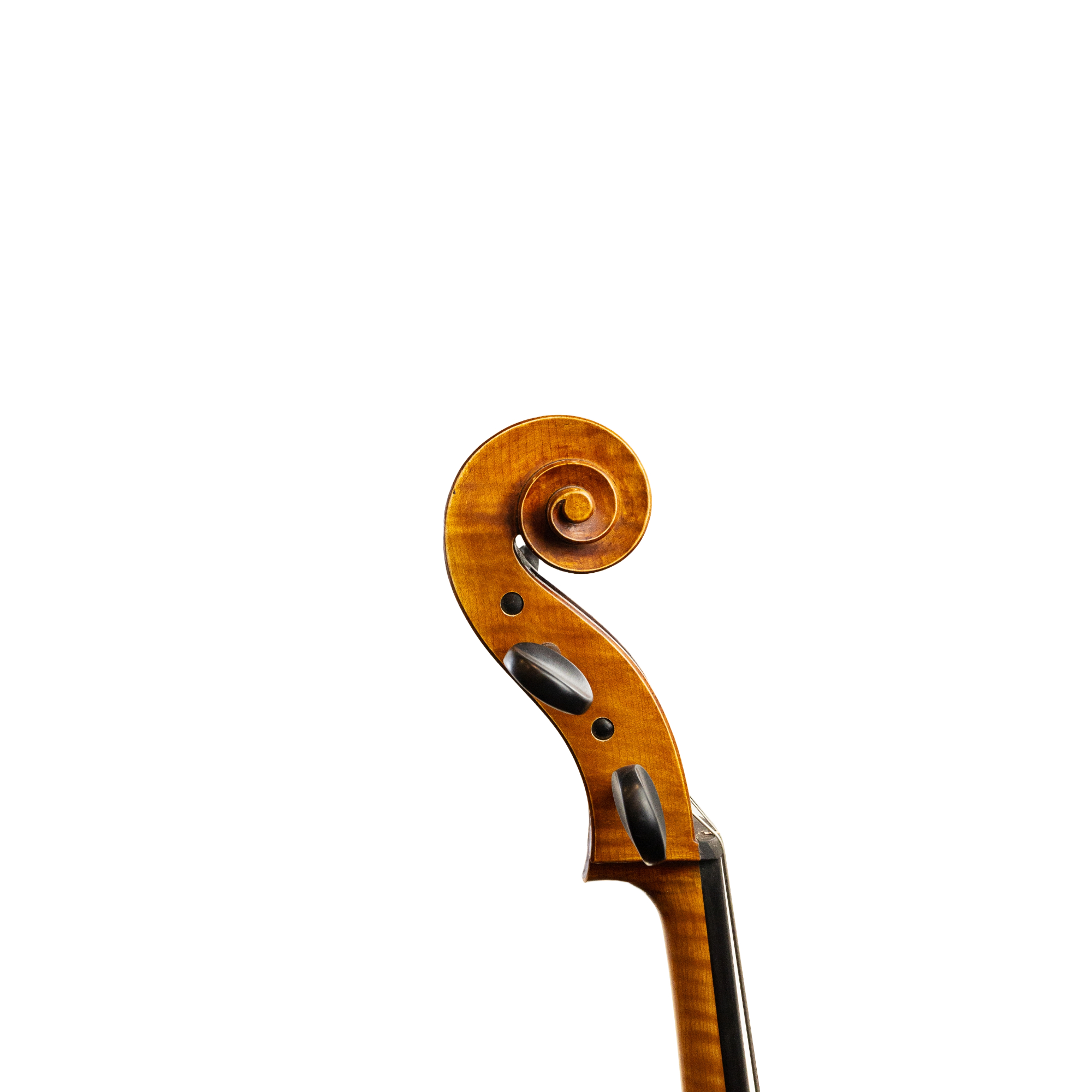 Amati #5 “Soloist" Cello 4/4 - Vivace Violins