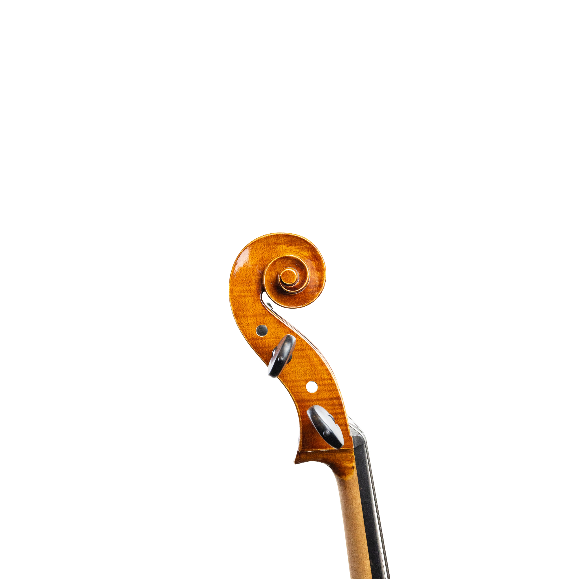 R. Leonhardt Workshop Professional German Cello - Vivace Violins