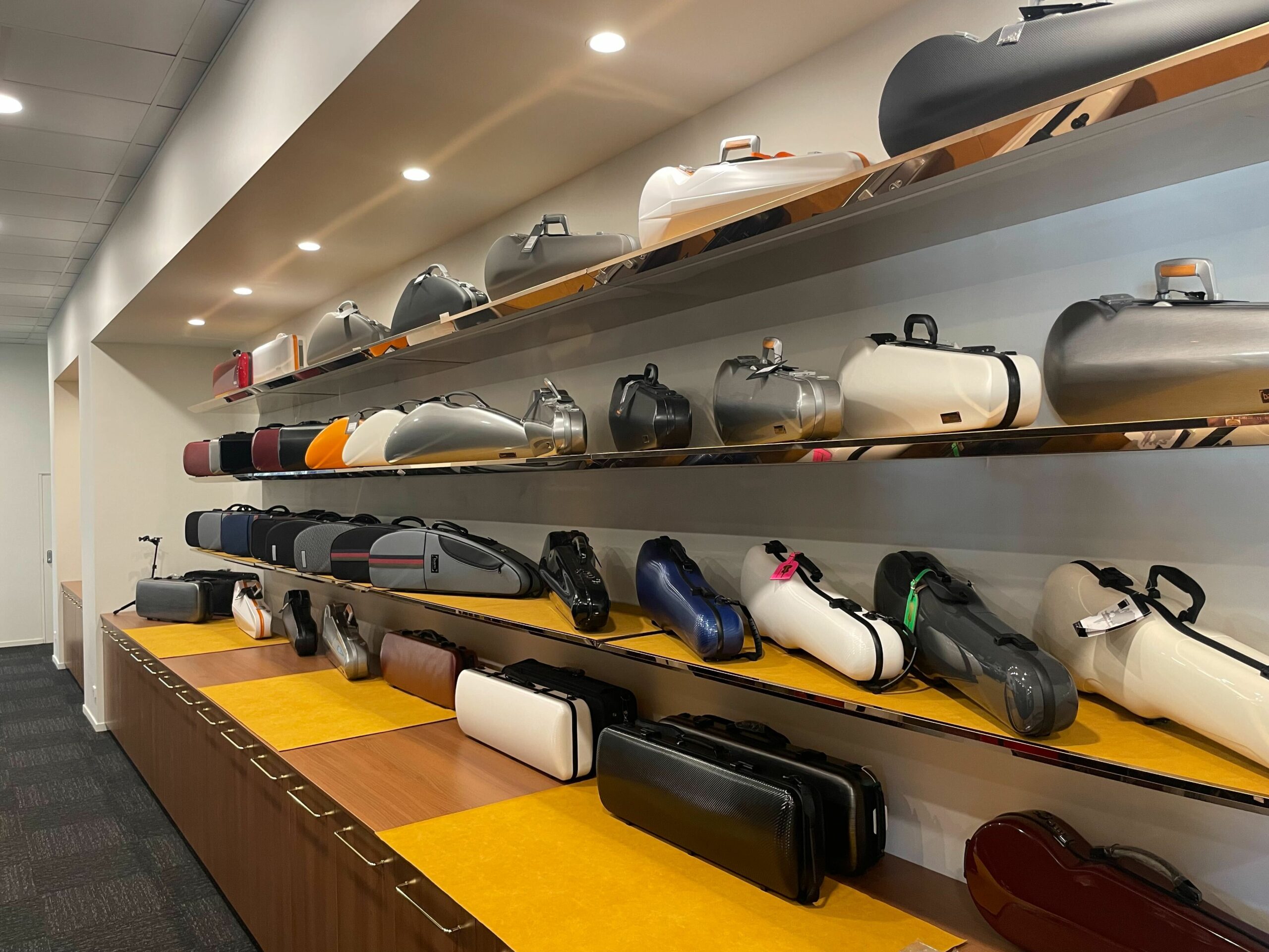 Violin Case - Vivace Violins