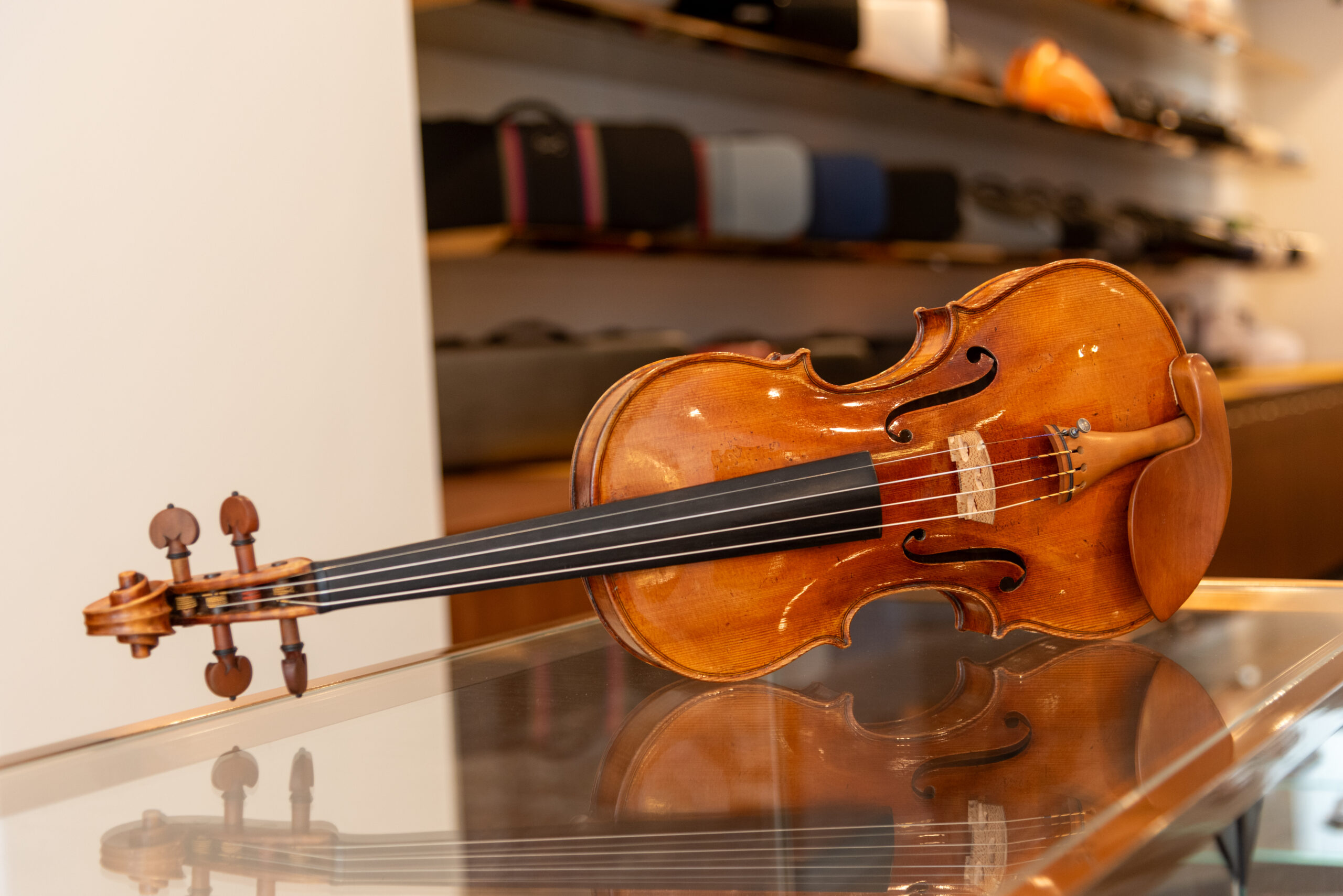 Purchasing Your Quality Instrument – The Vivace Violins Difference. - Vivace Violins